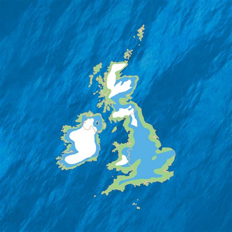 Herring Gull Bird Facts Larus Argentatus