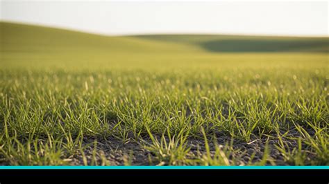 The Grass Isnt Greener—youre Just Seeing Less Dirt