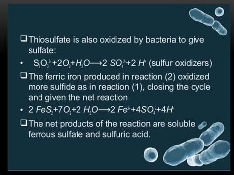 Microbial Leaching Pptx