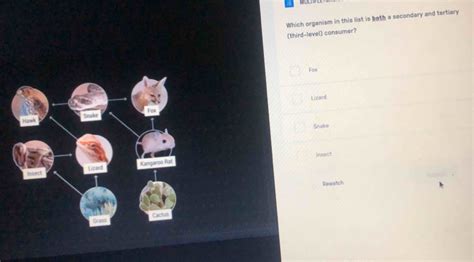 Solved Which Organism In This List Is Both A Secondary And Tertiary