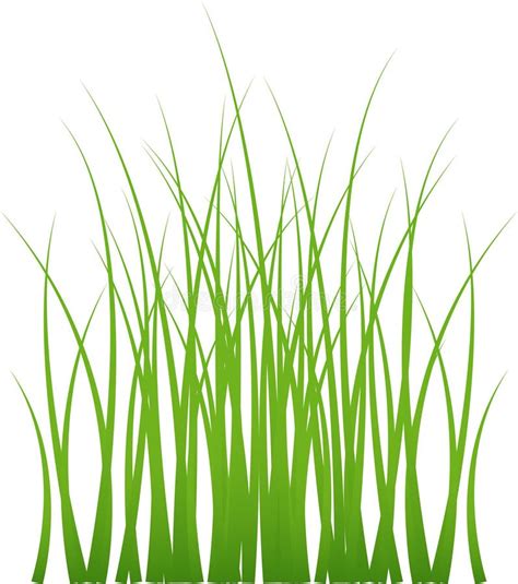Grass Silhouette Seamless Pattern Green Grass Meadow Border Vector