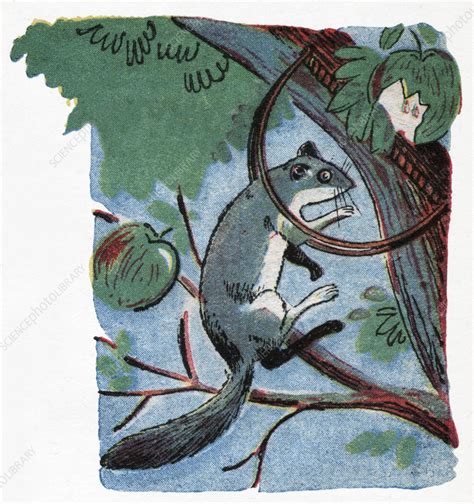 Trap For Dormouse Illustration Stock Image C0578973 Science