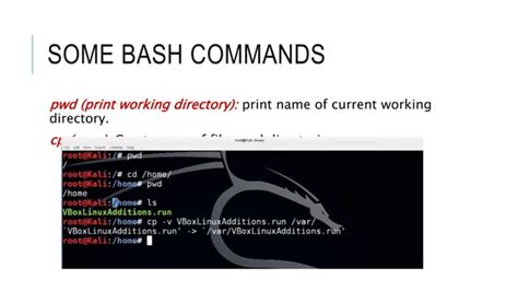 Bash Shell Scripting Pptx Operating Systems Computer Software And