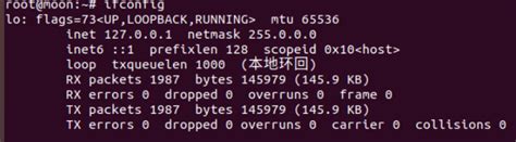 Ubuntu上不了网，ifconfig只有lo看不到ipens33 Ubuntu 不显示ip Csdn博客