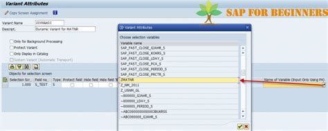 How To Create A Dynamic Variant In SAP Using TVARV Table SAP For Beginners