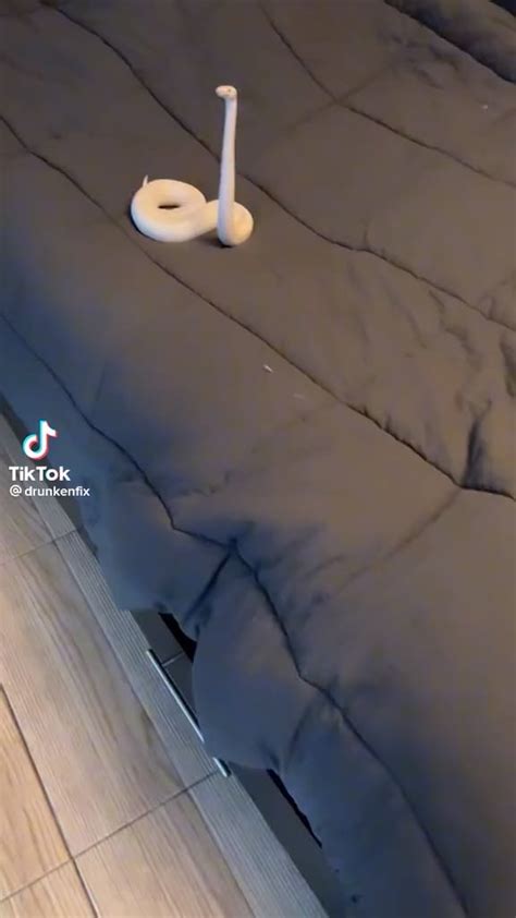 Pythor Irl R Ninjago