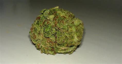 Alaskan Thunder Fuck Imgur