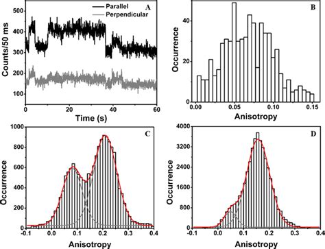 Single Molecule Fluorescence Anisotropy A Parallel Black And