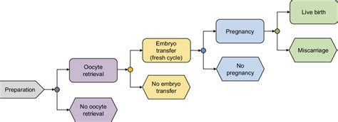 Cost Effectiveness Model Decision Tree Structure Download Scientific