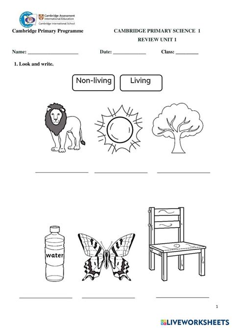 Cps1 Review U1 Ws1 7725660 Cambridgeenglishteachers