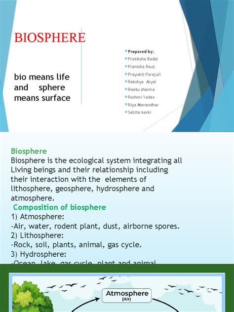 Biosphere Pdf Natural Environment Fertilizer