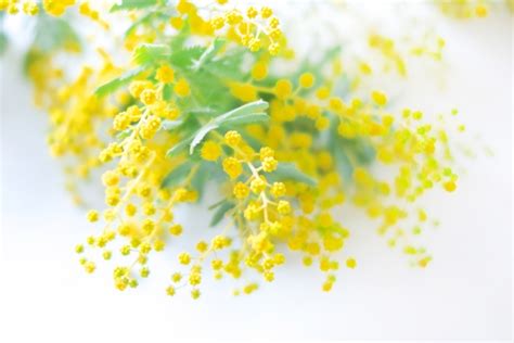 パーソンセンタードケアとは？ 介護ラボ・辞書