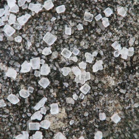 Structure And Symmetry Of Solids Flashcards Quizlet