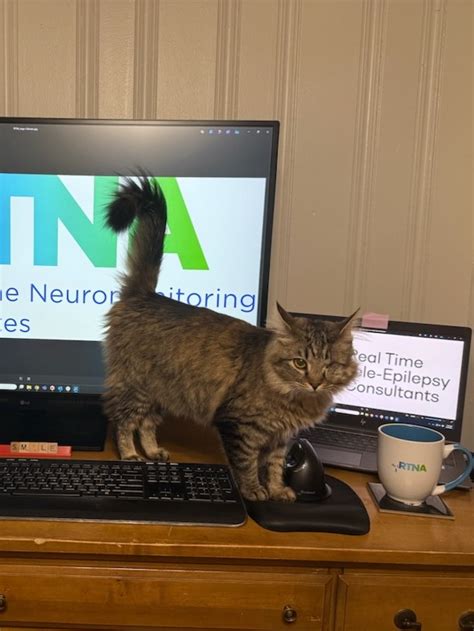 Real Time Neuromonitoring Associates Rtna Check Out This Nice Example Of Left Brainstem