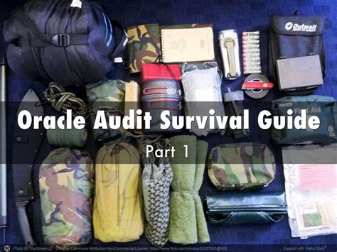 Oracle Audit Survival Guide Pptx