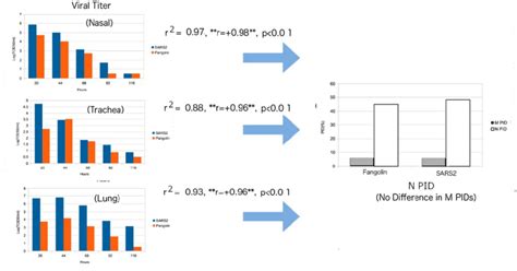 Regression Analysis Of Viral Titer Of Pangolin Cov Sars Cov 2 And Pid N Download Scientific