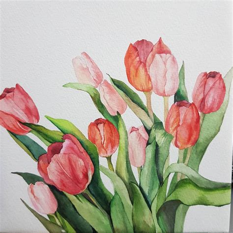 홍혜정 On Instagram 튤립 수채화 튤립 일러스트 꽃스타그램 일상그림 샌더슨지 미젤로미션골드 꽃일러스트 Watercolor