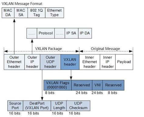 Nettap® Network Packet Broker Vxlan Header Stripping In Original Packet And Metadata