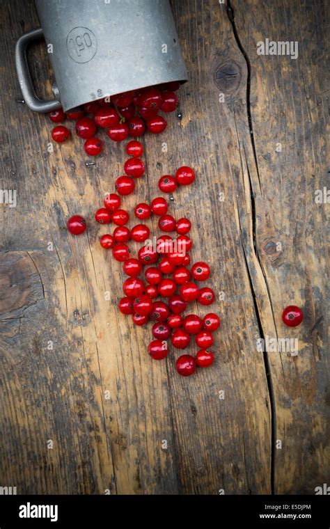 Metal Jar Of Red Currants Ribes Rubrum On Dark Wooden Table Elevated