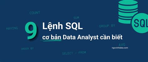 Lệnh SQL cơ bản Data Analyst cần biết ngovinhdata
