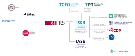 Issb Standards A Guide For Companies Aligned Incentives