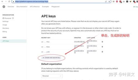小白如何设置openai Api Key的环境变量 知乎