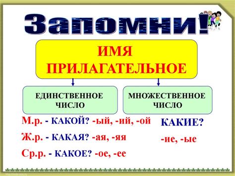Склонение имен прилагательных презентация онлайн