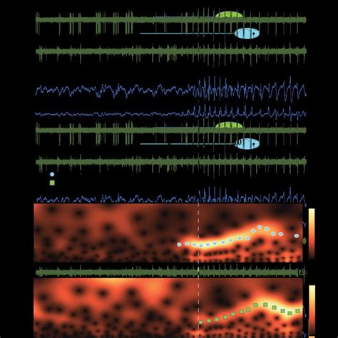 Stefano Boccaletti Italian National Research Council Rome Cnr