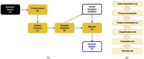 A Diagram Of The Biometric System Modules B Classification Steps Download Scientific