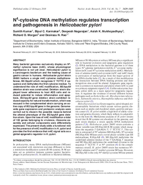 Pdf N4 Cytosine Dna Methylation Regulates Transcription And Pathogenesis In Helicobacter