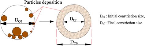Schematic Draw Of Constriction Diameter Size Reduction Download Scientific Diagram