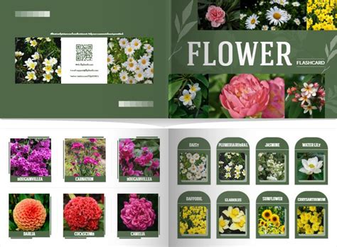 Customizable Flower Flashcard Template Customizable Flower Flashcard Template