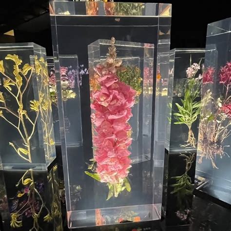 Sophiesohxo Threads Say More