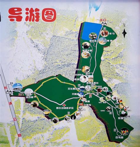 东北虎林园攻略 隶属 哈尔滨 大山谷图库