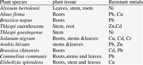 List Of Hyperaccumulators Plants Download Table