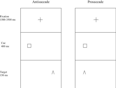 Sequence Of Events For The Antisaccade And Prosaccade Tasks Each Frame Download Scientific