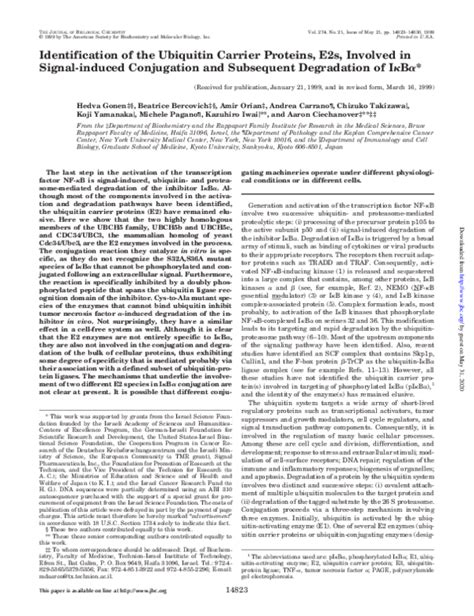 Pdf Identification Of The Ubiquitin Carrier Proteins E2s Involved