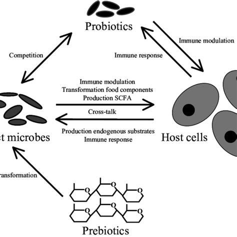 1 Hostmicrobe Interactions And The Hypothetical Impact Of Pre And