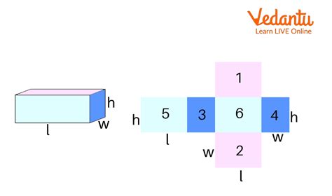 Master Surface Area Cube Cuboid And Cylinder Explained