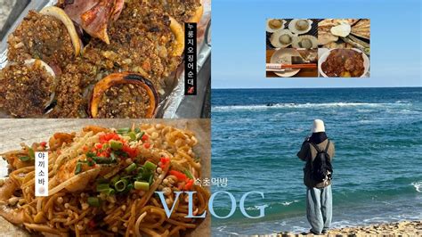 Vlogㅣ🦑누오순 이것 뭐에요~ㅣ속초먹방여행ㅣ동명항생선구이 봉브레드 루루흐 소연이네조개구이 속초동경 고궁회관