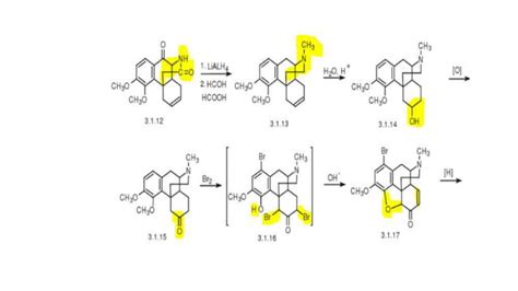 Morphine Synthesis Presentation1 Pptx