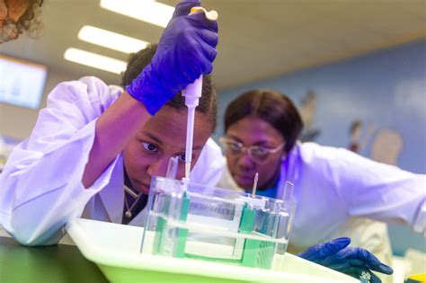 Course Modules Msinbre