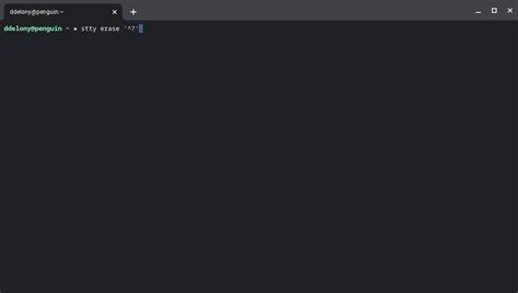 Help Backspace Doesnt Work In The Linux Terminal