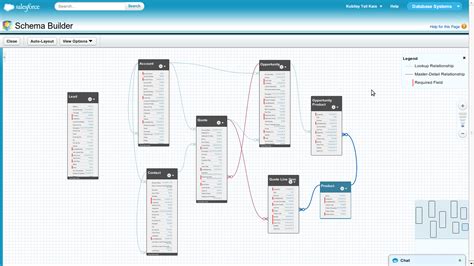 Database Systems Salesforce Basic Data Model