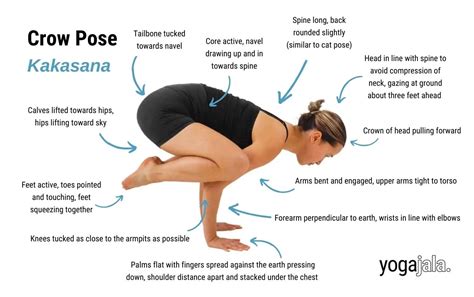 Flying Crow Pose Eka Pada Galavasana