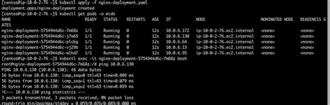 使用 amazon vpc cni 插件搭建自定义网络环境的 kubernetes 集群 亚马逊aws官方博客