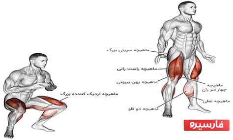 8 ورزش برای چاقی بدن چگونه با ورزش چاق شویم؟