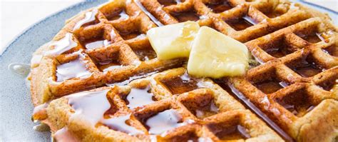 ensemble of classifiers using monk creating a food classifier dev