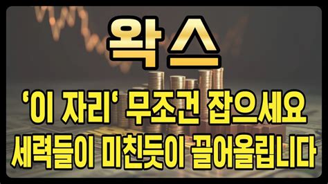 왁스 왁스코인왁스코인전망왁스코인분석왁스목표가왁스전망왁스대응왁스호재왁스차트왁스분석왁스코인분석 Youtube