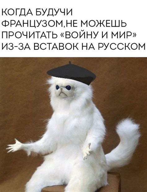 French Problems Scrolller